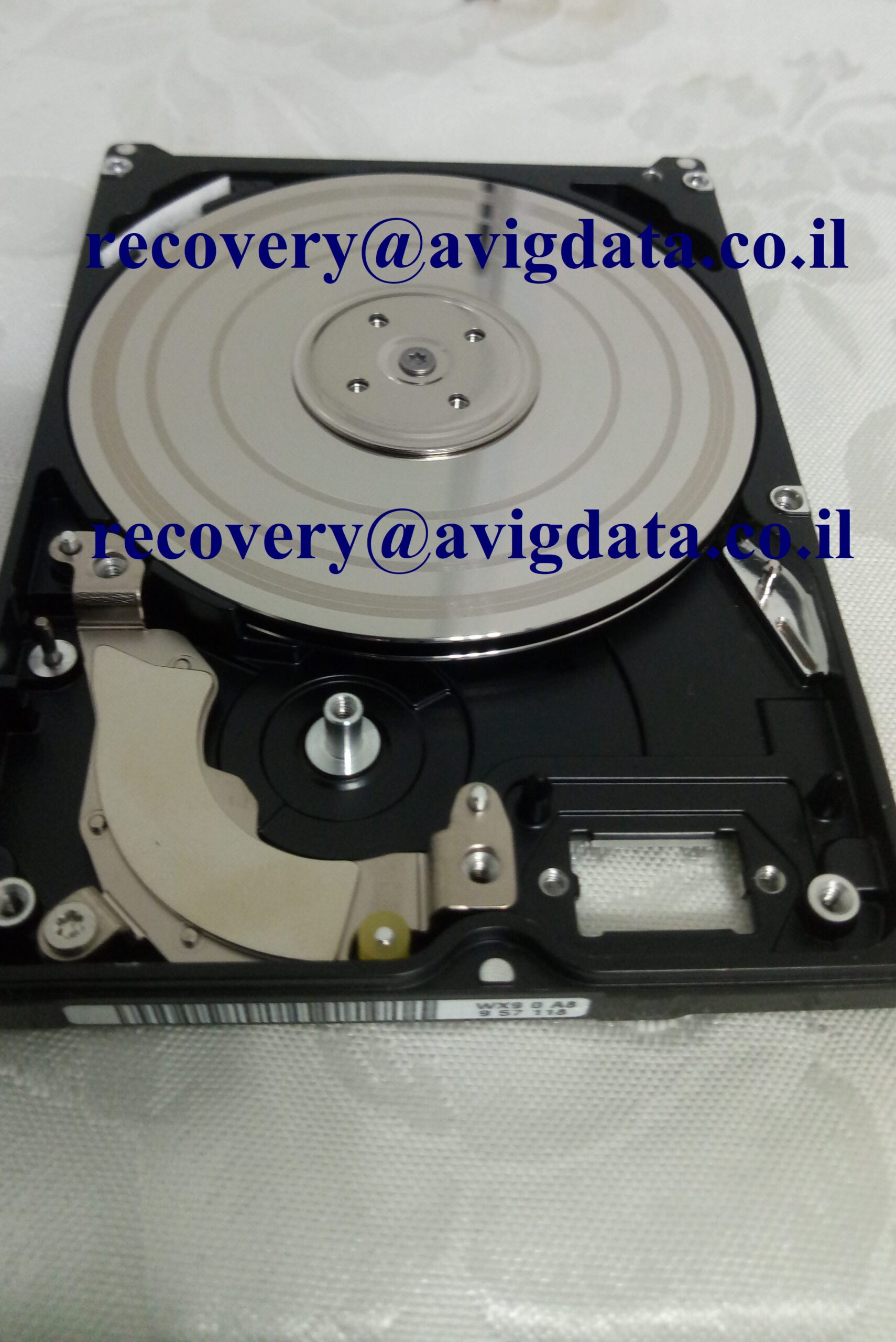 AVIG DATA RECOVERY – Recover data from severe scratched hard drives ...