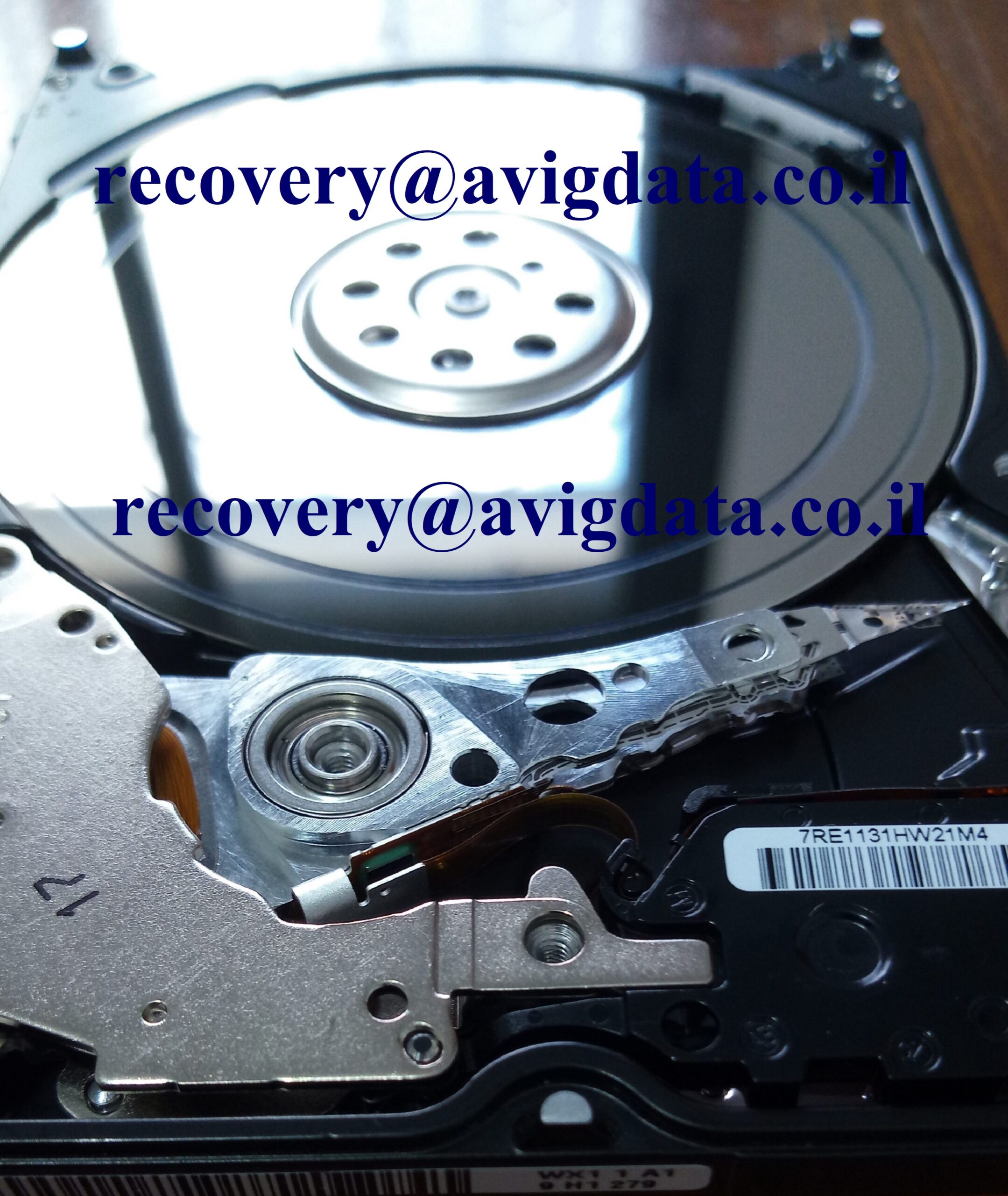 AVIG DATA RECOVERY – Recover data from severe scratched hard drives ...