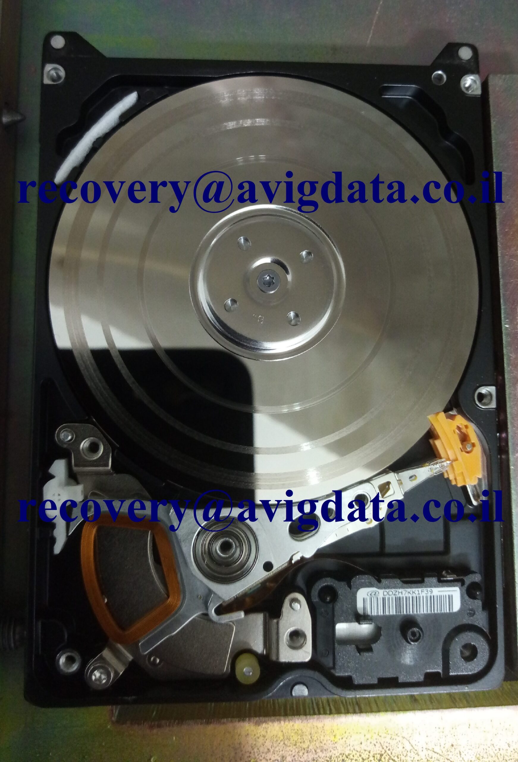 AVIG DATA RECOVERY – Recover data from severe scratched hard drives ...